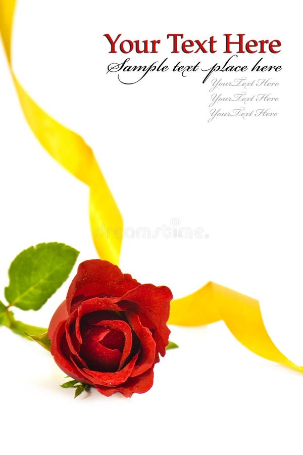 1,452 Single Red Rose Ribbon Stock Photos - Free & Royalty-Free Stock ...