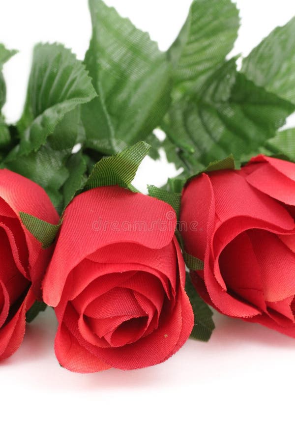 Red rose stock image. Image of plant, rose, dating, love - 1783031