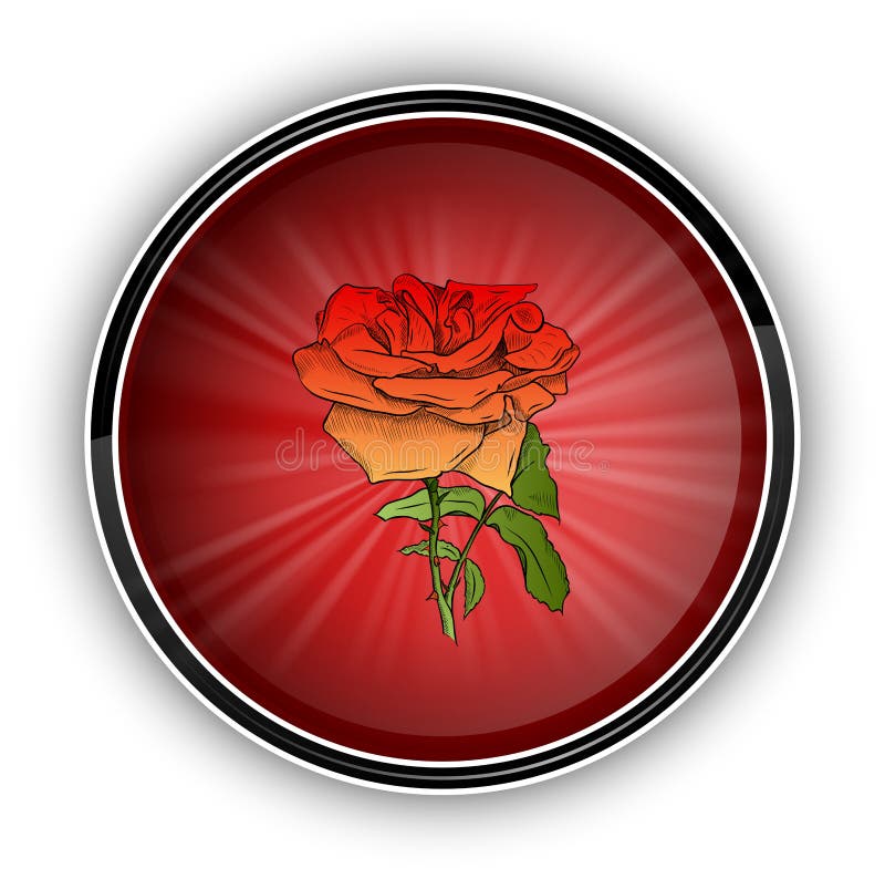 Red rose stock vector. Illustration of graphic, rose - 23075958