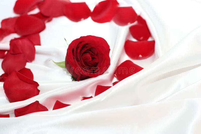 A rose and a lipstick kiss stock photo. Image of fondly - 520054