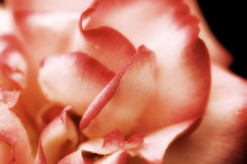 Meeting time 2 stock image. Image of smart, teamwork, desk - 417703