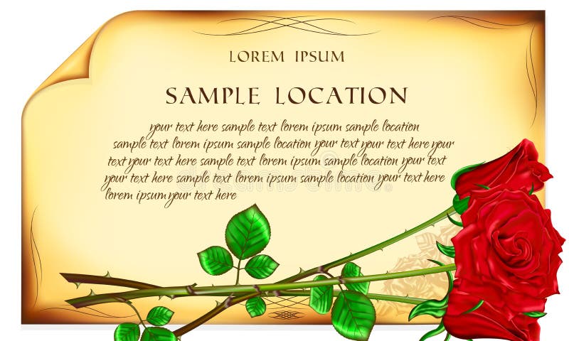 Red Rose Against the Old Paper Background Stock Vector - Illustration ...