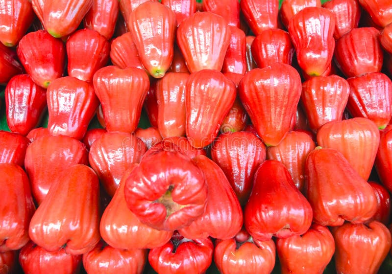 Red rose apple stock image. Image of nutrition, slice - 28766863