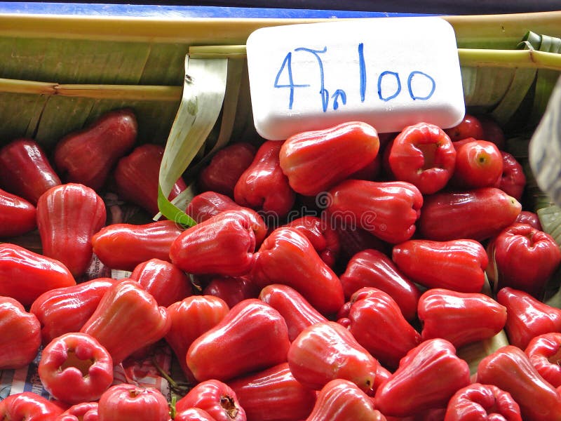 Red Rose Apple with a Price Tag in the Market Stock Image - Image of ...