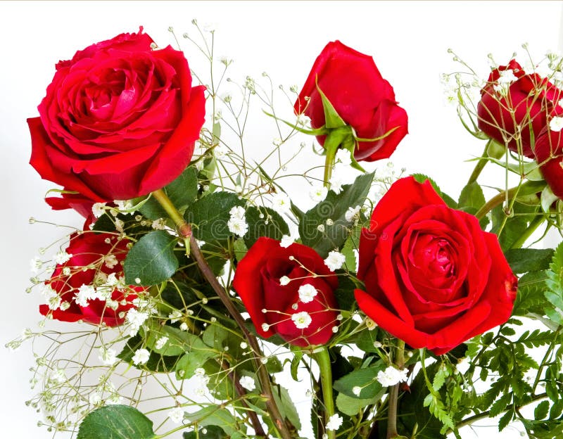 Red Rose And Baby's Breath Bouquet Stock Photo - Image: 1773310