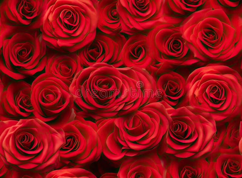 Red Rose Background. SEAMLESS PATTERN. SEAMLESS WALLPAPER. Created with ...