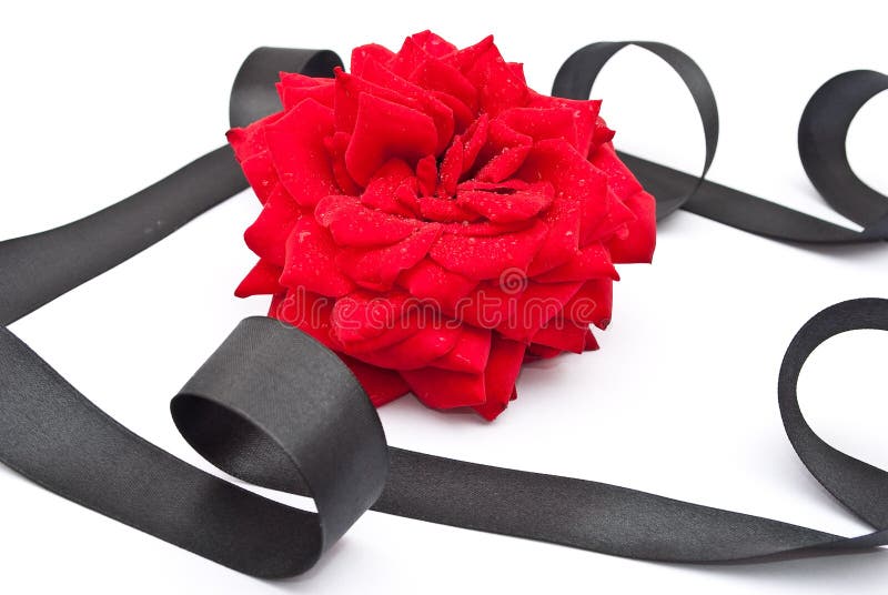 Red rose with black ribbon stock photo. Image of event - 15190352