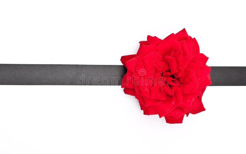 Red rose with black ribbon stock image. Image of design - 15449541