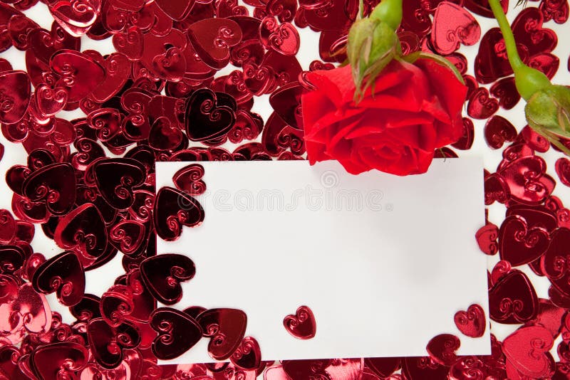 Red Rose and Blank Invitation Card Stock Image - Image of gift, color ...