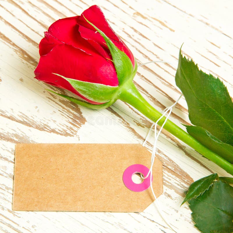Red rose and blank label stock photo. Image of feeling - 49692586