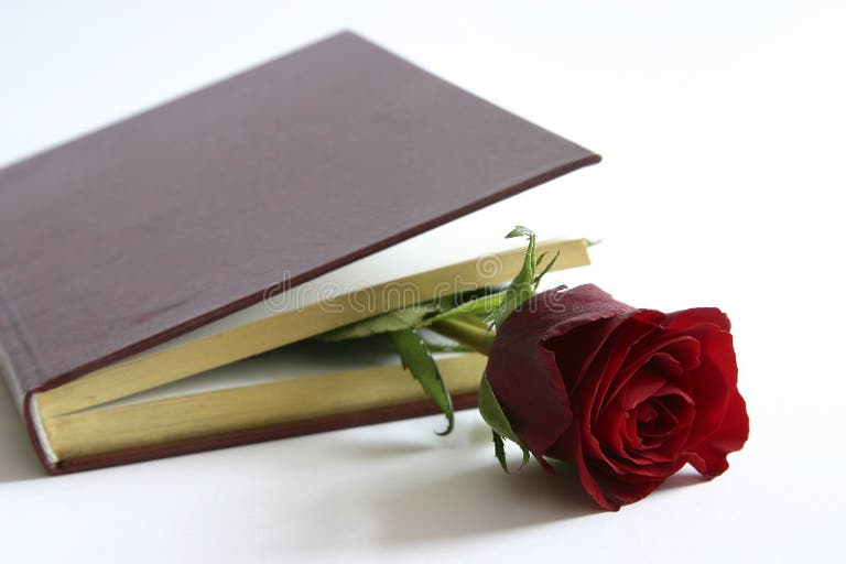 Red rose in a book stock image. Image of beauty, book - 1776585