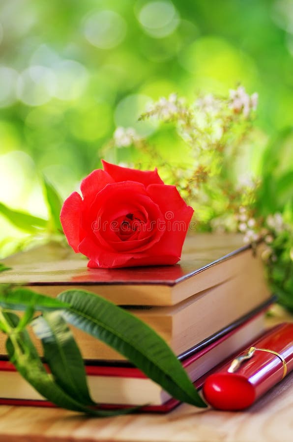 Red rose on book stock image. Image of pencil, bouquet - 73860757