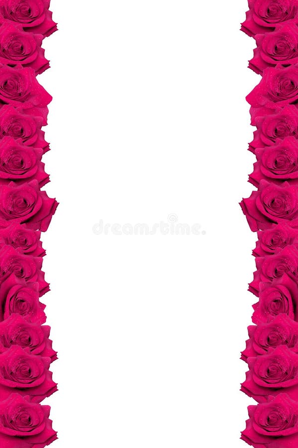 Red rose border stock image. Image of flora, nature, blooming - 3522295