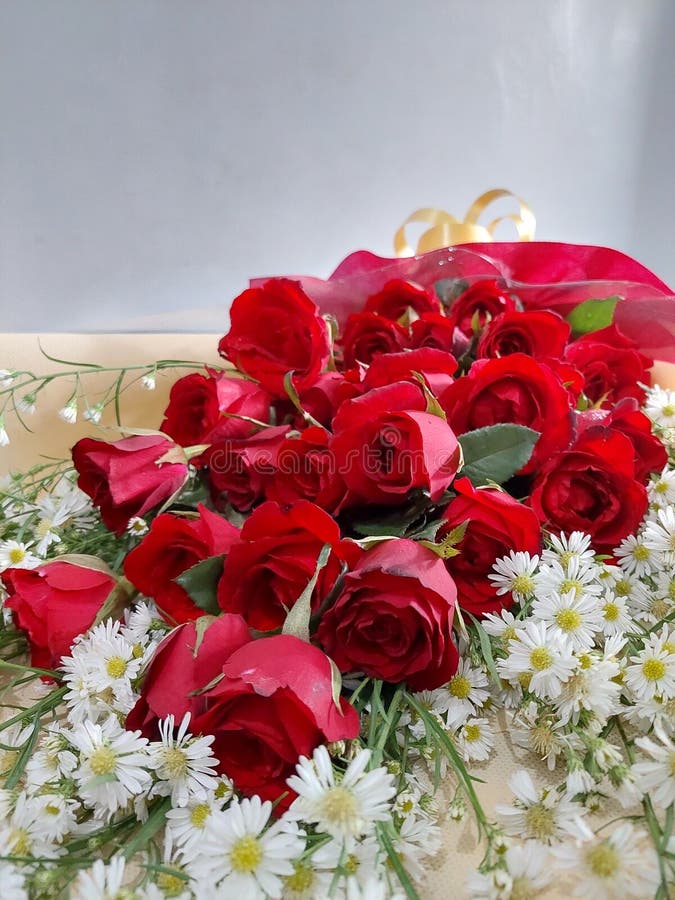 Red Rose Bouquet for Someone Special Stock Photo - Image of petal ...