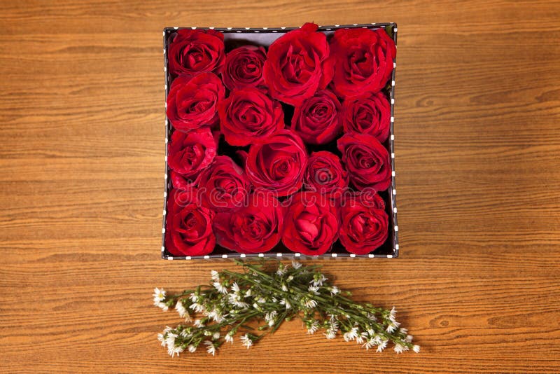 Red rose in box stock image. Image of closeup, flirting - 40081847