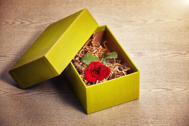 Red rose in box stock image. Image of color, high, idyllic - 40081775