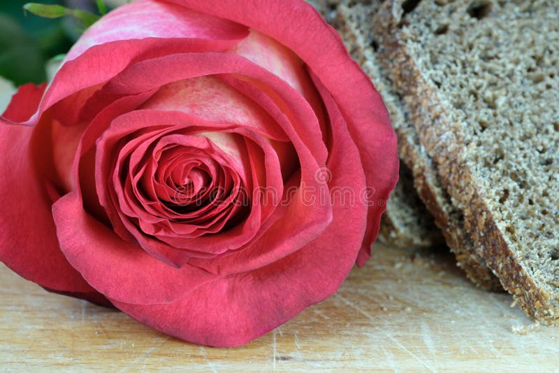 Red rose and bread stock photo. Image of food, rose - 319149012