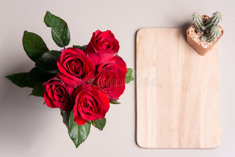 Red Rose and Cactus on a Board Stock Photo - Image of macro, birthday ...