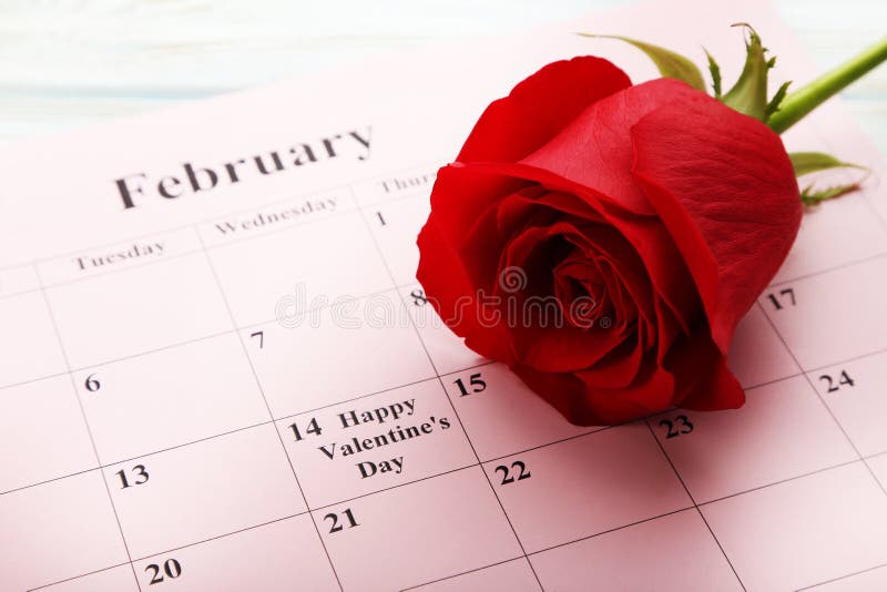Rose on the Calendar with the Date of February 14 Valentine S Da Stock ...