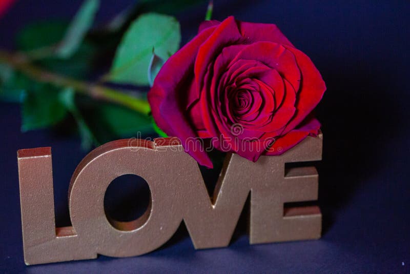 Red Rose with Candle and Love Written Stock Photo - Image of rose ...