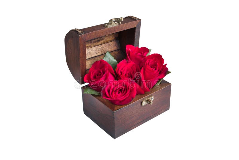 A red rose in chest stock image. Image of treasure, gift - 49404235