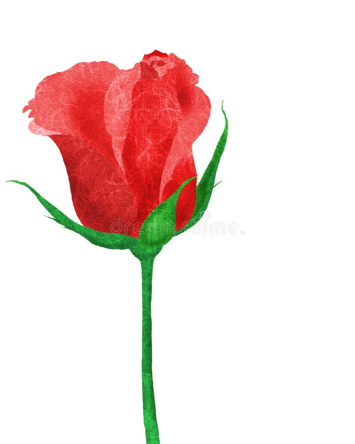 53+ Rose collage Free Stock Photos - StockFreeImages