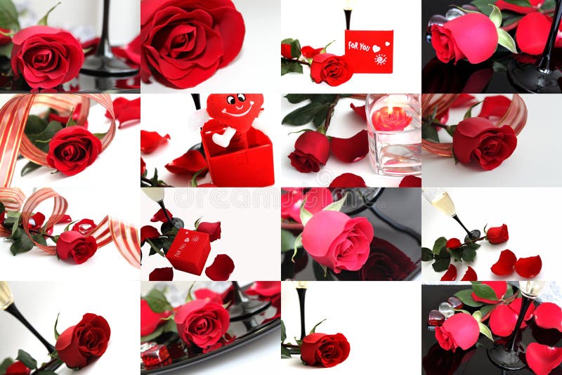 Red rose collage stock photo. Image of rose, romantic - 37235968