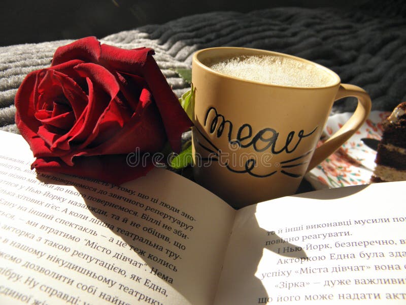 Red Rose and a Cup of Coffee Stock Image - Image of field, coffee ...