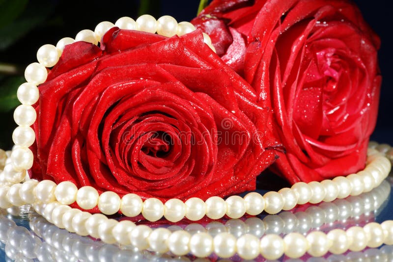 Red Rose Decorated with Jewelry Stock Photo - Image of colorful, floral ...