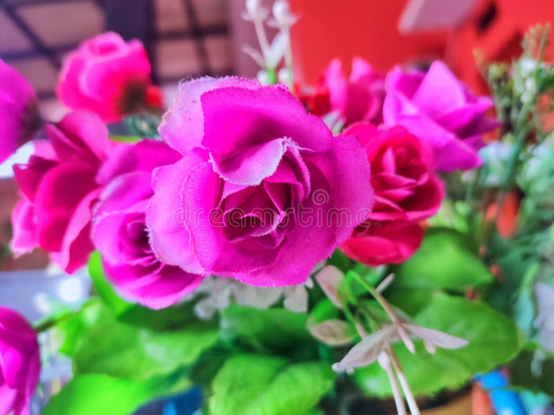 Red Rose Decoration Flower on the Table Stock Image - Image of purple ...