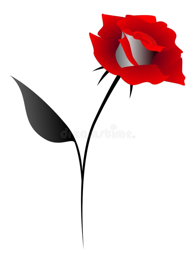 Red Rose Design Element, on a White Background. Stock Vector ...