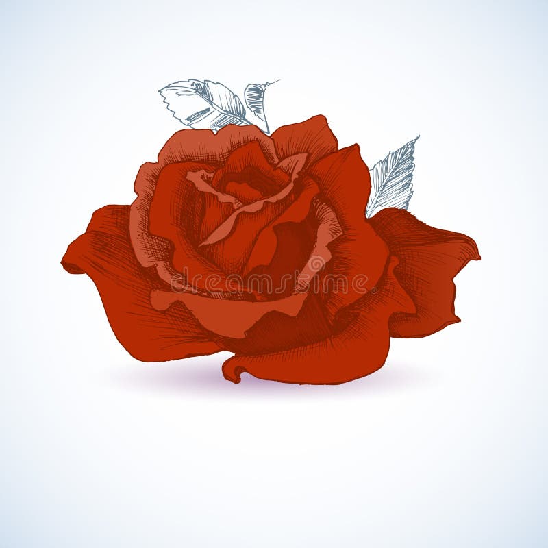 Red Rose Label Stock Illustrations – 9,823 Red Rose Label Stock ...