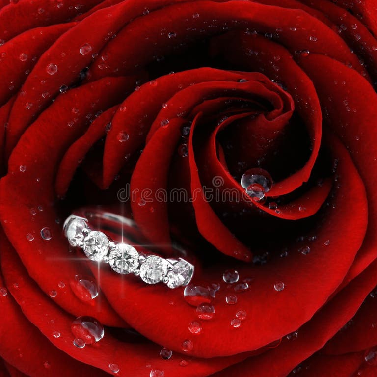 Red Rose with Diamond Ring Closeup Stock Photo - Image of fragile, gold ...
