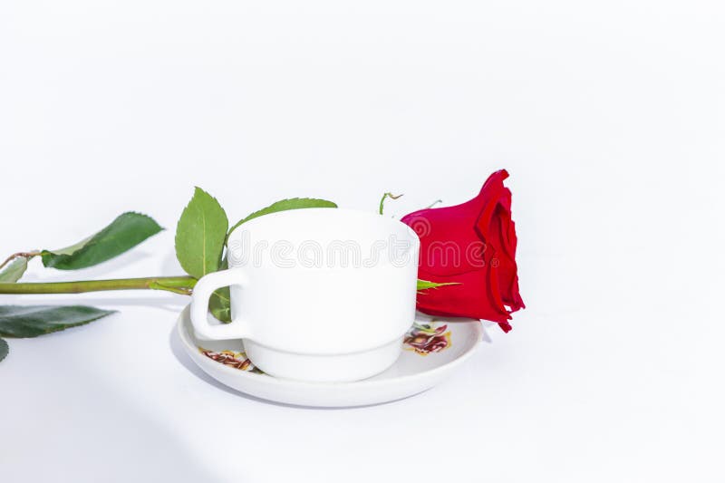Red Rose Flower Along with Set of White Tea Cup and Plate Over White ...