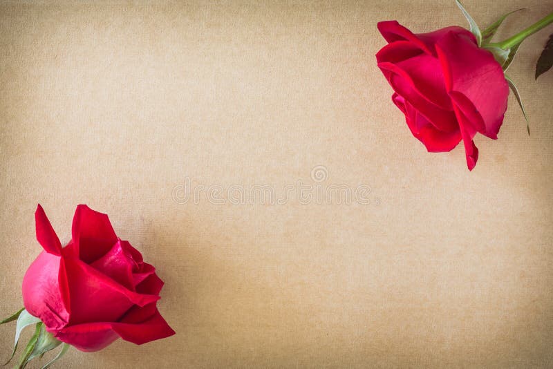 Blank Page Love Letter Red Rose Stock Photos - Download 403 Royalty ...