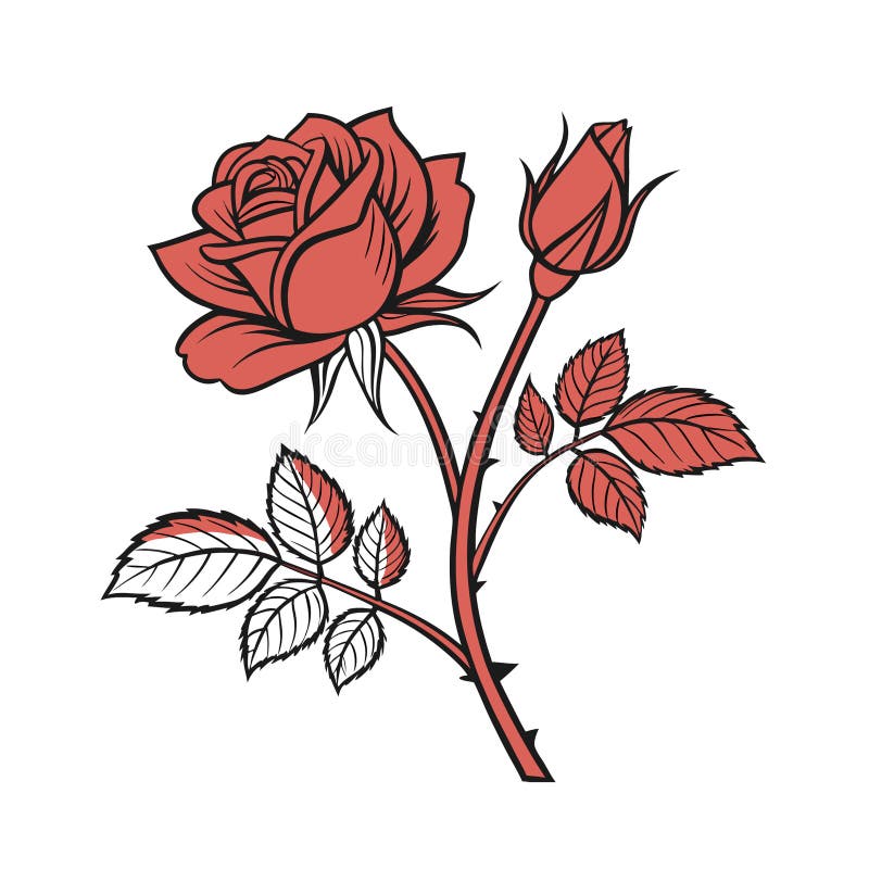 Red Rose Flower Bold Outline Design Stock Illustration - Illustration ...