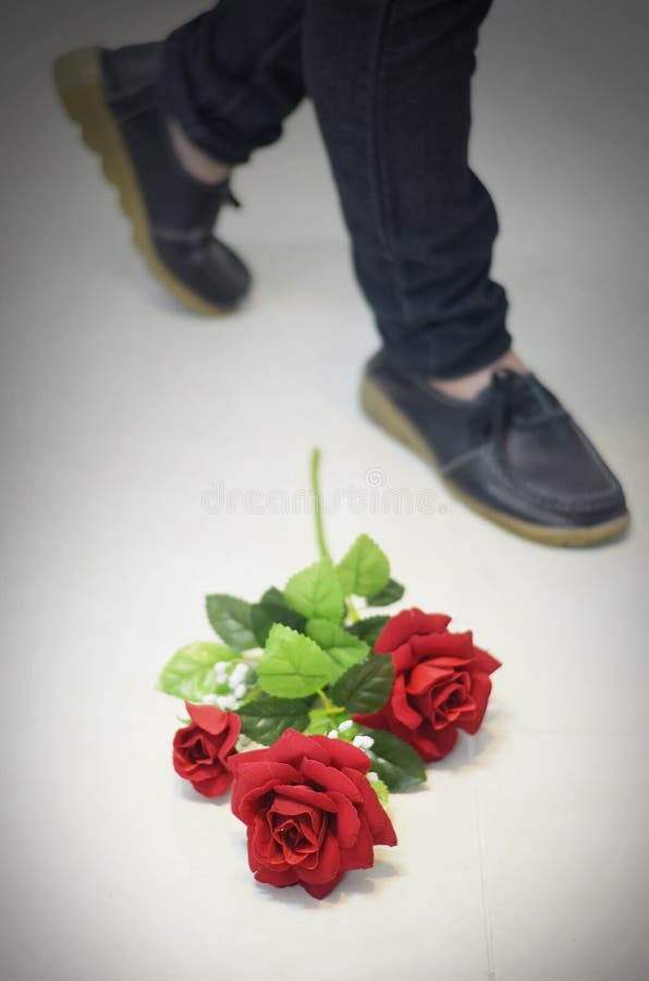 Red rose flower on floor stock photo. Image of love, floor - 37954464