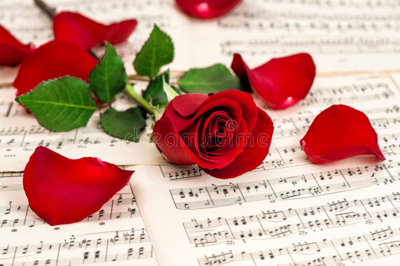 Red Rose Flower Music Notes Sheet Stock Image - Image of retro, music ...