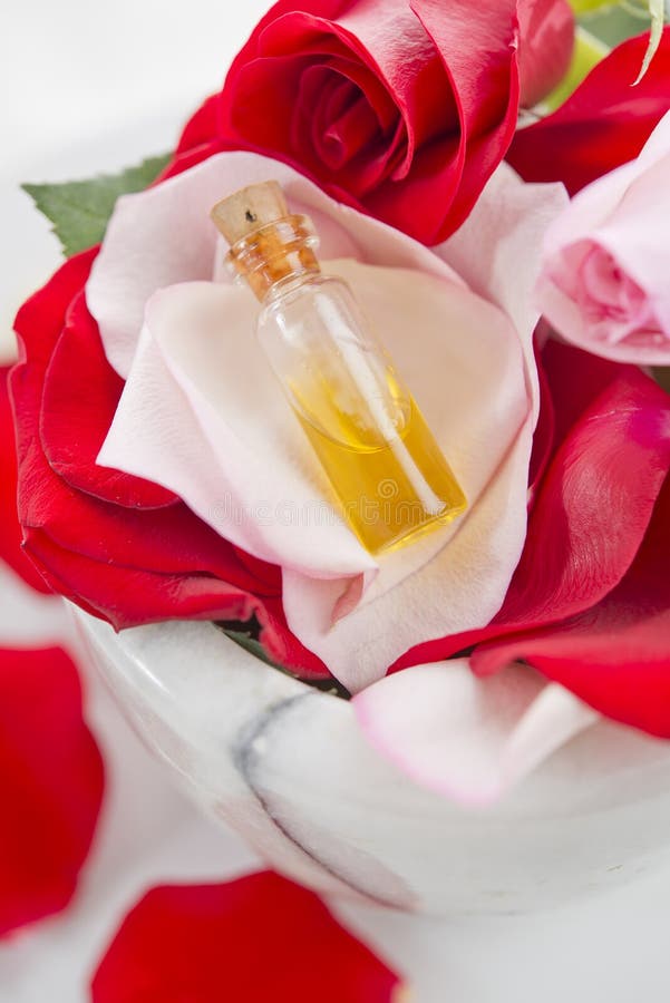 Red Rose Flower with Rose Oil Stock Photo - Image of eastern, leaves ...