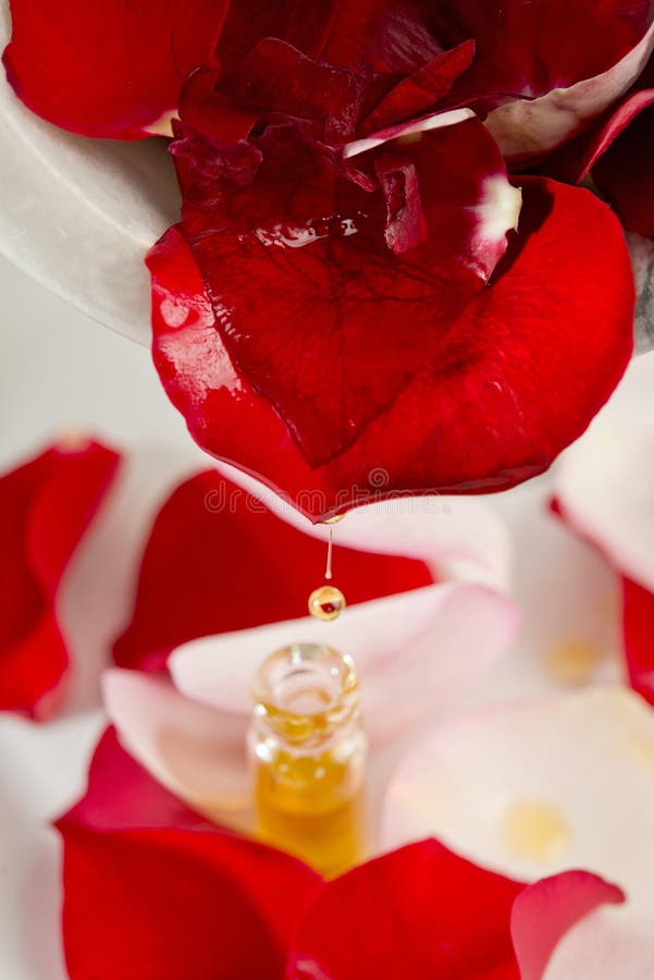 Red Rose Flower with Rose Oil Stock Photo - Image of eastern, cologne ...