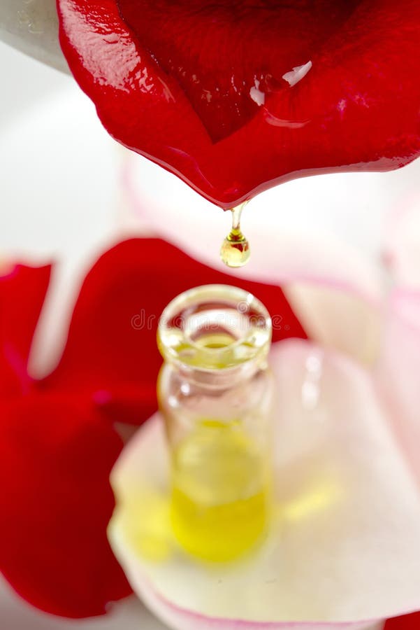Red Rose Flower with Rose Oil Stock Photo - Image of leaves, eastern ...