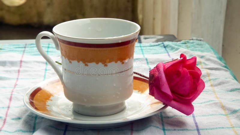 Red Rose Flower on Tea Dish Stock Image - Image of healthey, flower ...