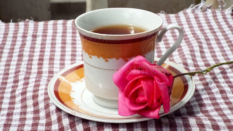 Red Rose Flower on Tea Dish Stock Image - Image of tasty, healthy: 62024007