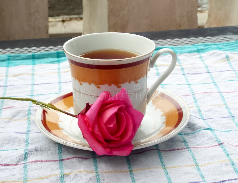 Red Rose Flower on Tea Dish Stock Image - Image of cosiness, flower ...