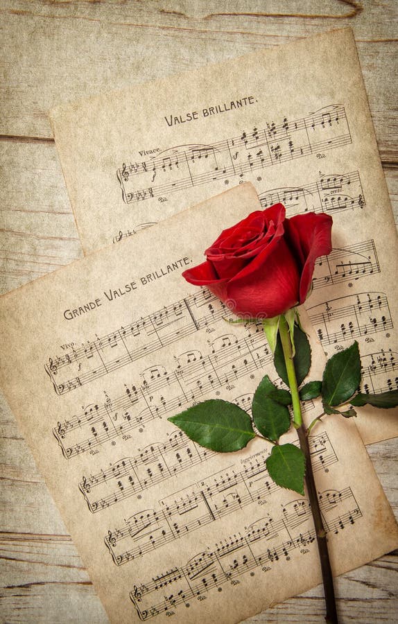 Red Rose Flower and Vintage Music Notes Sheet Stock Image - Image of ...