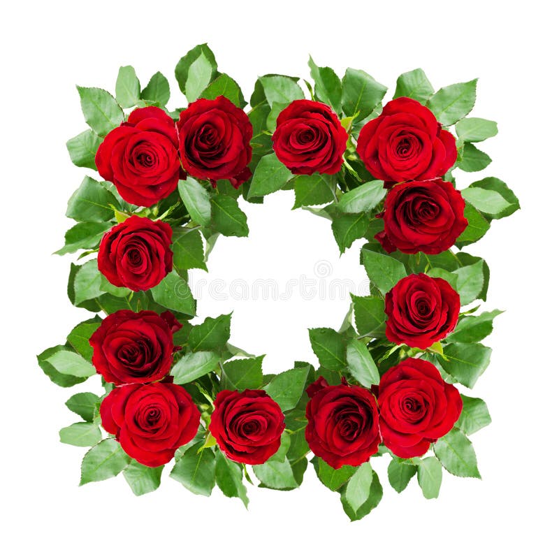 Red rose flowers frame stock image. Image of present - 94636327