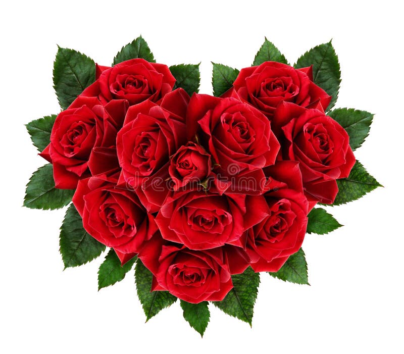 Red rose flowers heart stock image. Image of loving, leaves - 64746053