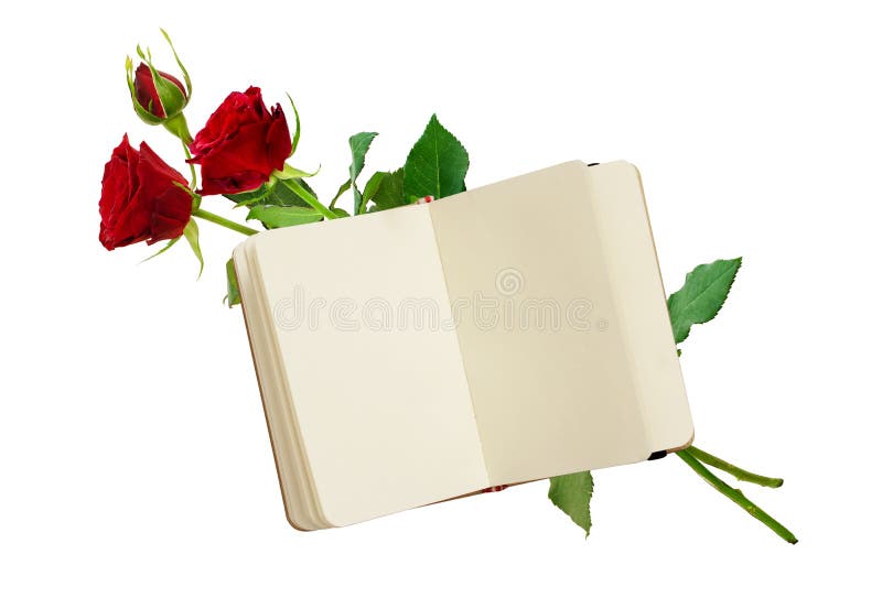 Red Rose Flowers and Open Notepad Stock Photo - Image of romance ...