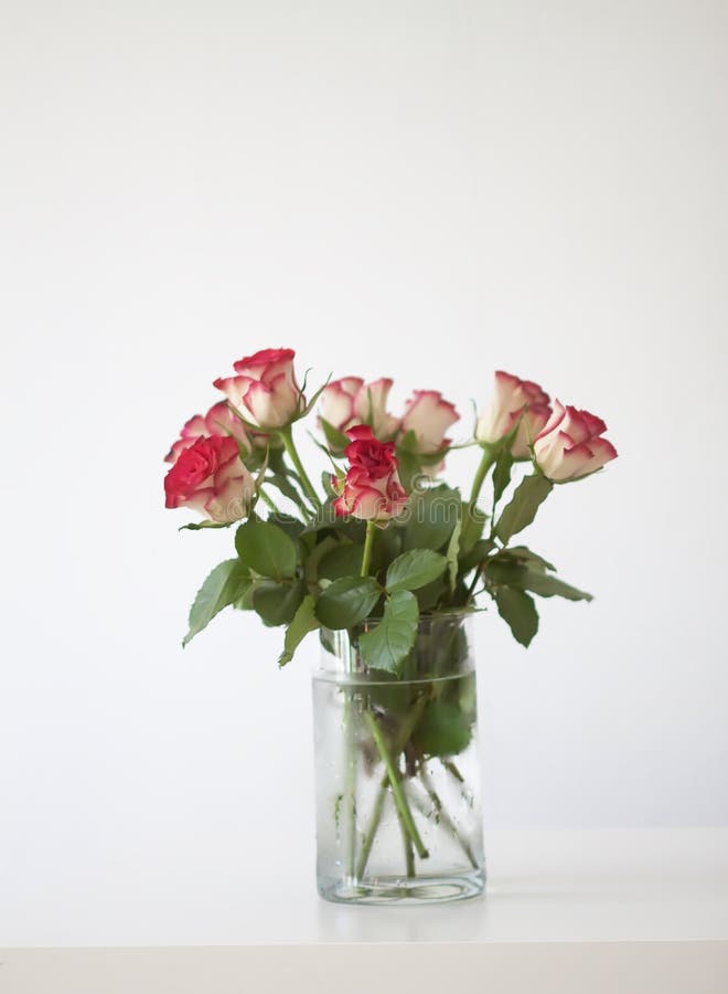 Red Rose Flowers. Romantic Bouquet in Minimalist Style Interior Stock ...