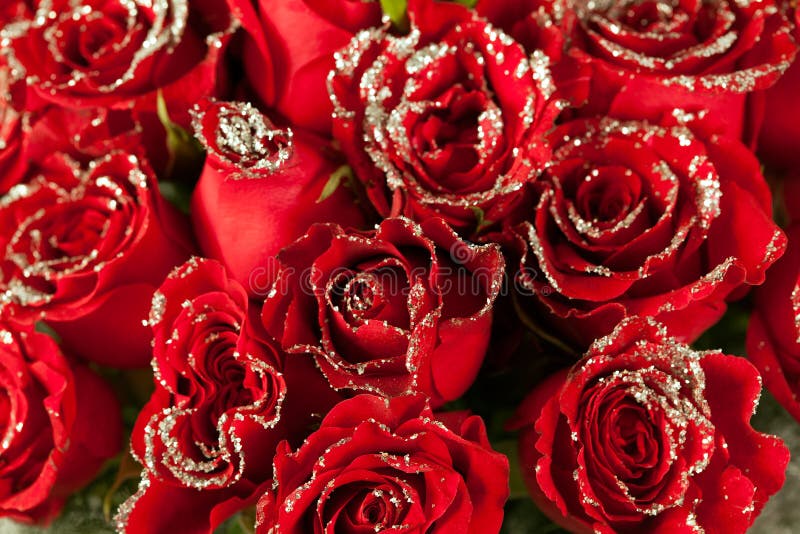 Red Rose Flowers with Sparkle Particles Stock Image - Image of bunch ...